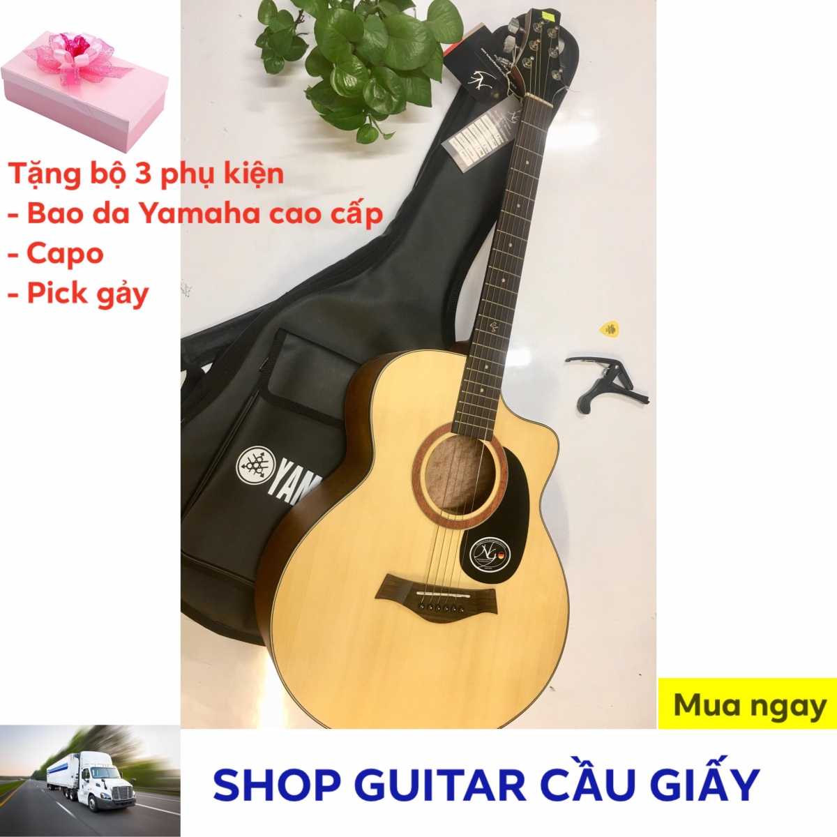 Đàn Guitar Acoustic NG